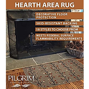 Pilgrim Home and Hearth Pilgrim 19629-1 Fireplace Hearth Rug, Beautiful