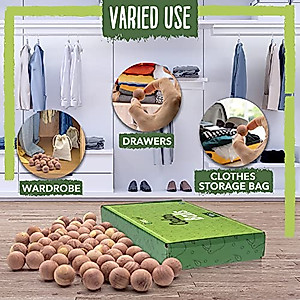 ecoKiwi Cedar Blocks for Clothes Storage - 40 Pack Cedar Balls - Natural Oil Hanger Planks & Chips for Closets - Non Toxic Cedarwood Balls with Sandpaper - Drawer Air Freshener Protection & Control