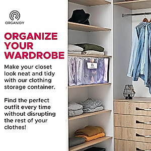 ORGANIDY Wardrobe Clothes Organizer for Underwear - Closet Organizers and Storage, Storage Drawers, and Organizer Bins - 6 Grids for Bras, Socks, and Jeans - 11.8" x 14.2" x 7.9", Clear Mesh 2-Pack