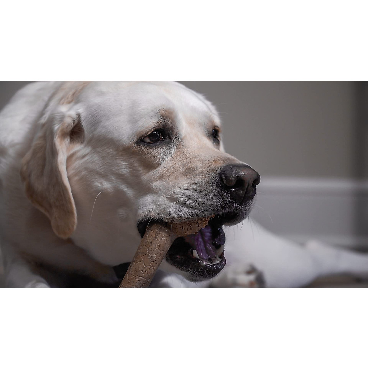 Hero | Bonetics Femur Bone | Dog Bones | Puppy Bones | Designed for Extra Large Dogs Up to 75 lbs (Bacon Flavor)