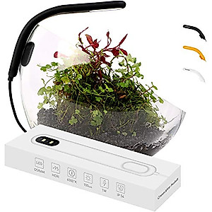 Aqualighter Led Aquarium Light - Innovate Flexible LED lamp for Freshwater Aquarium - Fish Tank Light - PicoSoft Plus White