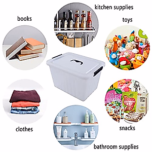 Farmoon 20 Quart Clear Latching Storage Bin with Handle, 4 Packs Plastic Storage Boxes