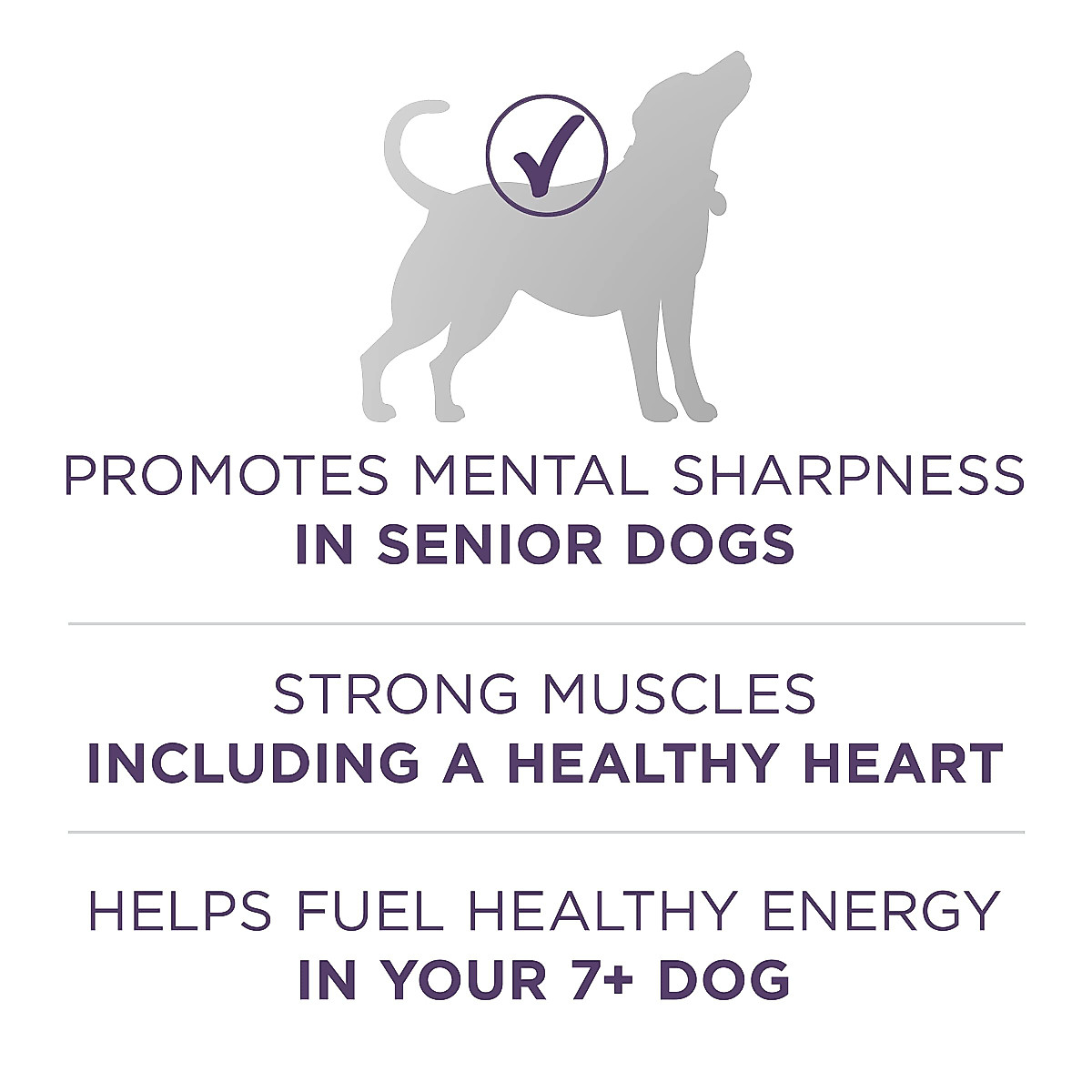 Purina ONE High Protein Dry Senior Dog Food Plus Vibrant Maturity Adult 7 Plus Formula - 8 lb. Bag