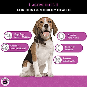 Active Bites - Joint and Hip Support Supplement- A Blend of Chondroitin, MSM, and Glucosamine in Each Tasty Chew - Small, Medium, and Large Dog Breed - Duck Flavor - by Best Friend's Essentials