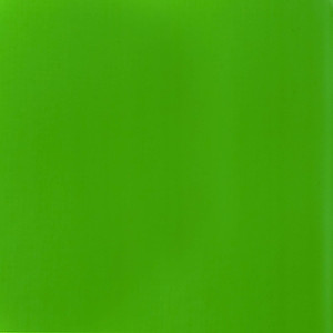 Liquitex BASICS Acrylic Paint, 118ml (4-oz) Tube, Fluorescent Green