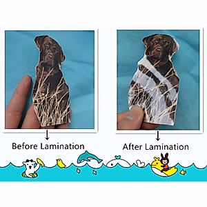 20-Pack Clear Self-Adhesive Laminating Plastic Paper, 4x6 Inches