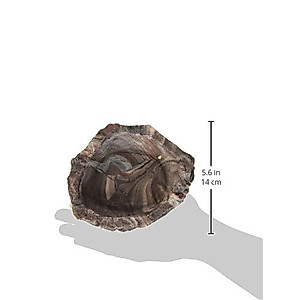 Fluker's Reptile Bowl, Medium