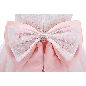 Bow Dream Baby Flower Girl Dresses Lace Bowknot Wedding Pageant Formal Tutu Gown Blush Pink 0-3 Months