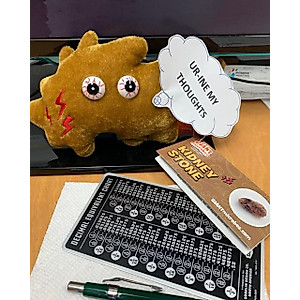 GIANTmicrobes Kidney Stone Plush - Learn About The Kidney and Health with This Memorable Gift for Family, Friends, Doctors, Nurses, Educators and Anyone with a Healthy Sense of Humor