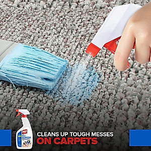 All Purpose Paint Remover Spray 22oz - Water Based Adhesive Remover Spray, Spray Paint Remover, Graffiti Remover Spray, Overspray Remover, Dried Paint Remover - No Methylene Chloride NMP Formula