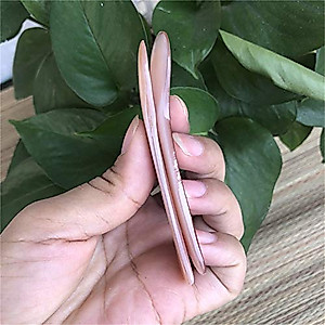 EvaGO Handmade Caviar Spoons Mother of Pearl MOP Caviar Spoon W Round Handle 3.55 inch, 2 pack