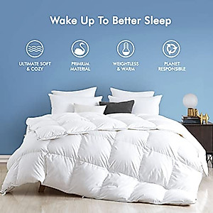 Dafinner Luxurious Queen Feathers Down Comforter - All Season Duvet Insert for Hotel Collection Bedding | Ultra-Soft Egyptian Cotton Fabric, Goose Feathers & Down Blend Filling(90x90, White)