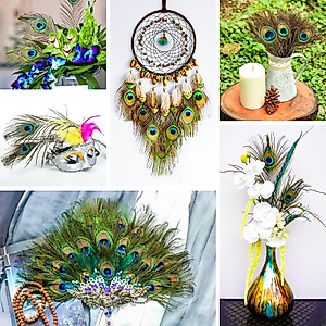 Piokio 50 pcs Natural Peacock Feathers in Bulk 10-12 inch(25-30 cm) Bulk for DIY Craft, Wedding, Mardi Gras Decoration