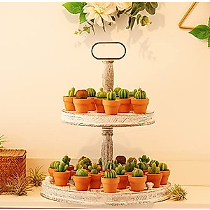 18pcs Cactus Tealight Candles Tea Party Decorations Succulent Baby Shower Fiesta Party Favors Home Decor Plant Gifts T Light Candles in Bulk