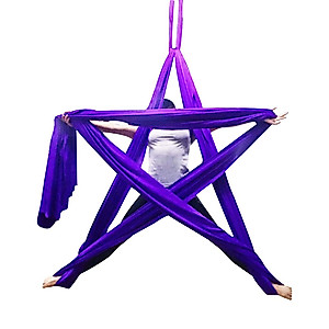 Dasking Premium Aerial Silks Equipment - Safe Deluxe Aerial Kit (Dark Purple)