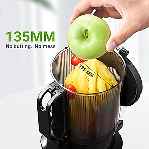 Juicer Machines, AMZCHEF 5.3-Inch Self-Feeding Masticating Juicer Fit Whole Fruits & Vegetables, Cold Press Electric Juicer Machines with High Juice Yield, Easy Cleaning, BPA Free, 250W