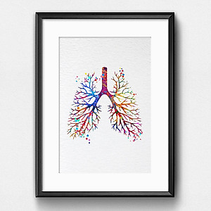 Dignovel Studios 8X10 Unframed Lung Anatomy Human Body Watercolor Art Print Poster Medical Science Housewarming Wall Art Giclee Office Home Decor DN541