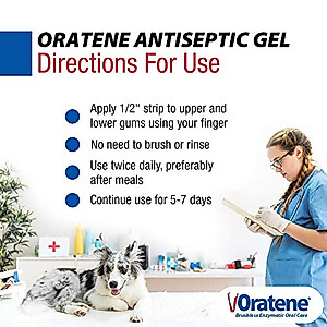 Pet King Brands ZYMOX Oratene Brushless Oral Gel for Dogs and Cats, 1oz