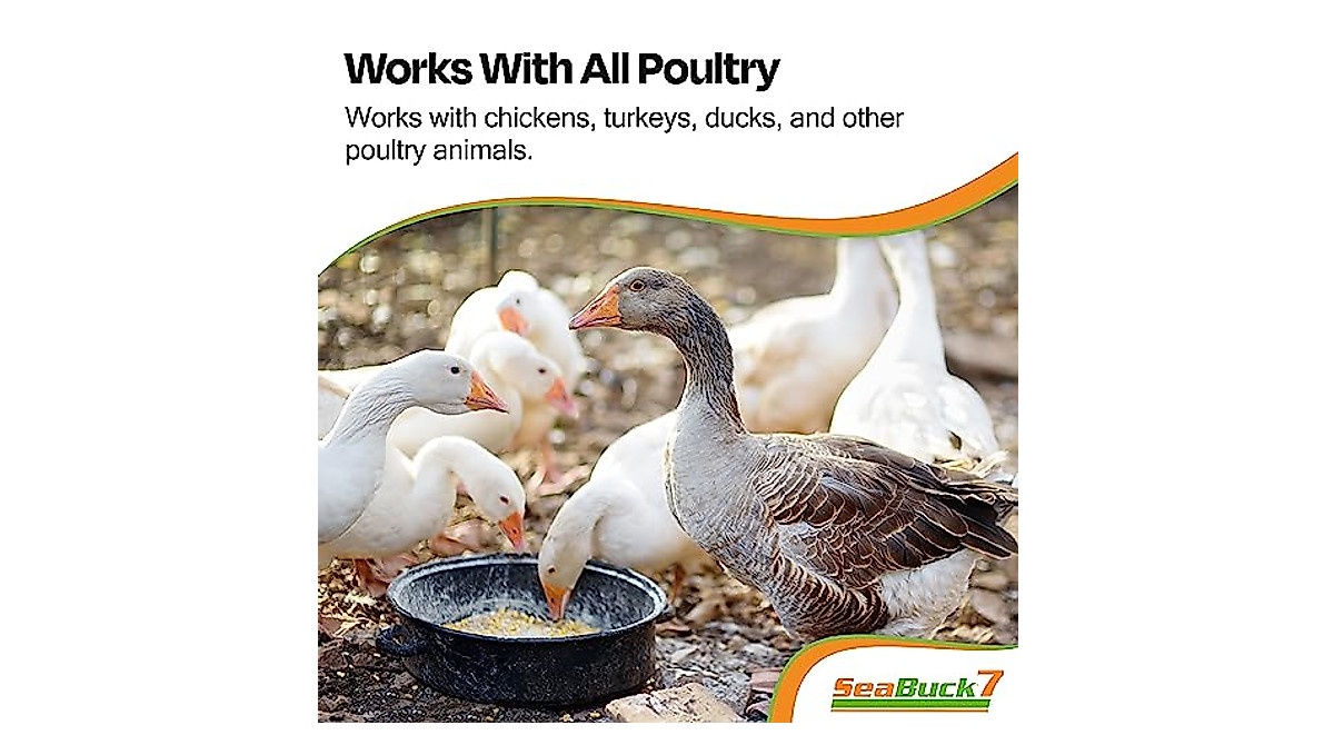 SeaBuck 7 Chicken Supplement: Boost Egg Production & Quality