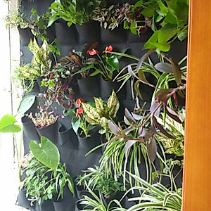 Ogrmar 36 Pockets Vertical Wall Garden Planter Plant Grow Bag for Flower Vegetable for Indoor/Outdoor (36 Pockets, Black)