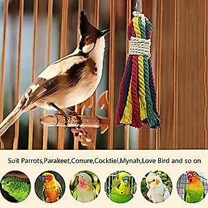 ASOCEA Pet Bird Parrot Colorful Cotton Rope Bite Chew Cage Hanging Toys for Cockatiels Macaws Parrots Small Medium Large Birds