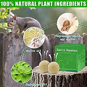 12 Pack Natural Squirrel Repellent for Outdoor Car Yard Garden Plants Indoor Bird Feeder, Peppermint Planted Ingredients Rodent Squirrel Deterrent, Keep Squirrel Mouse Away