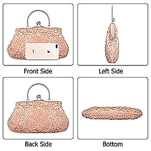 Noble Beaded Sequin Flower Evening Purse Large Clutch Bag Handbag for Women (Champagne)