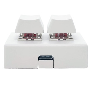 QINIZX USB 2-Key Mini Keypad One-Handed Mechanical Gaming Keyboard for Windows Mac OSU HID Programming Macro Keys RGB LED Backlit Updated Red Switch with 4.9ft Type-C USB Cable