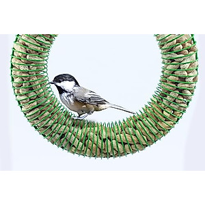 Gtongoko Peanut Wreath Bird Feeder 16 Inch, Rust & Waterproof, Solid Steel Durable Whole Peanut Wild Bird Feeder with Hanging Hook, Outdoor, Green