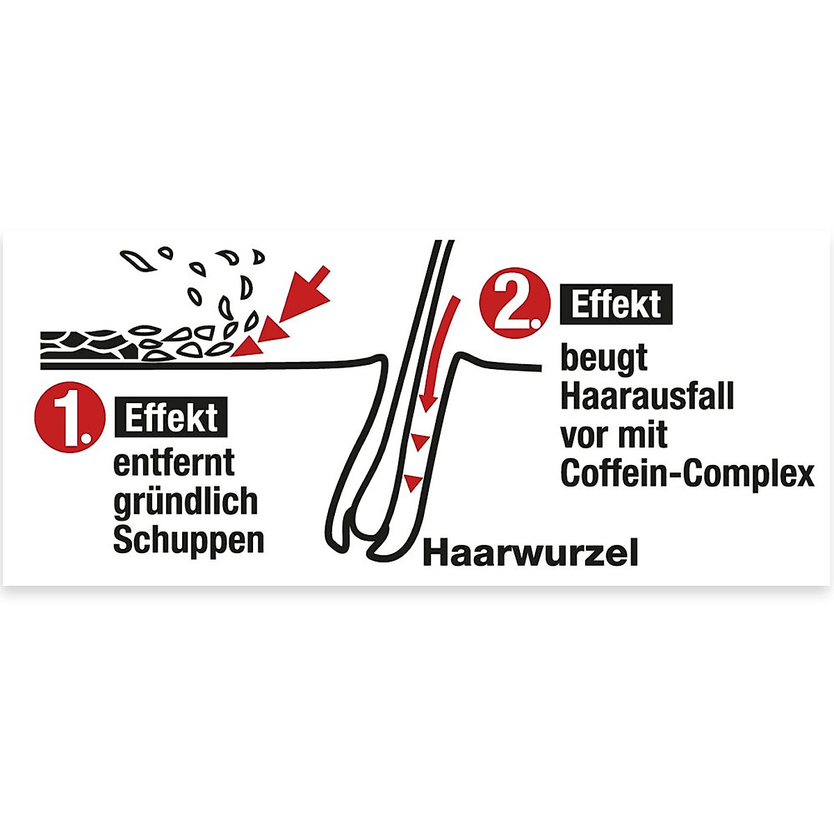 Alpecin Doppel-Effekt Shampoo â€“ 6.8 oz / 200ml - fresh from Germany