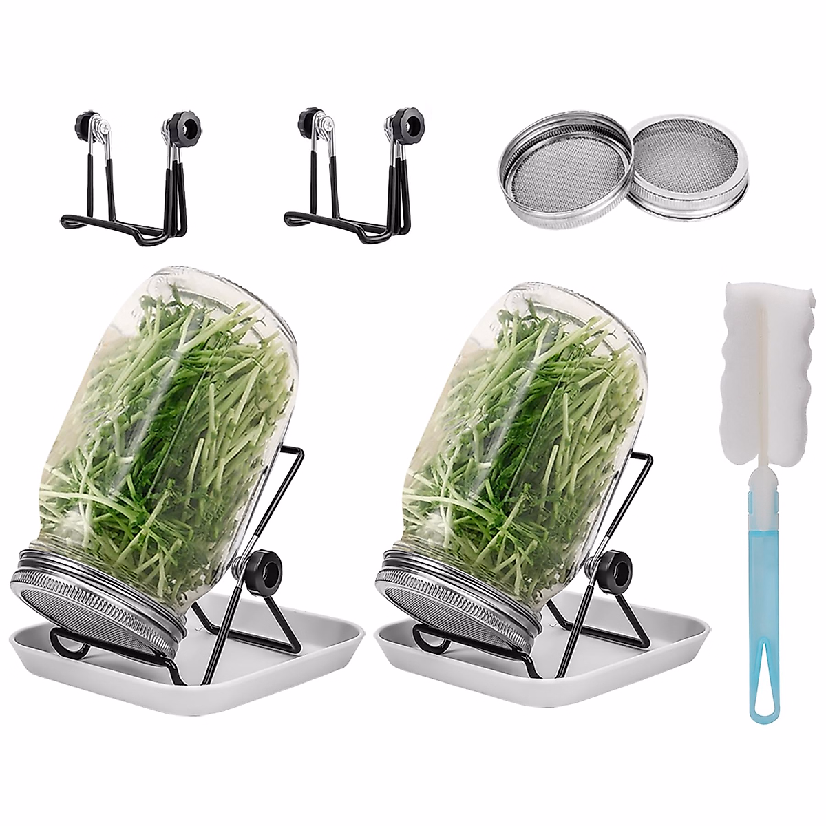 Lulonpon 2 Sprouting Jar Kit, Wide Mouth Quart Mason Jars with Stainless Steel Screen Sprout Lids, 86mm,1000ml,Stand,Tray and Canning Brush,Seed Sprouter Set for Growing Broccoli, Alfalfa, Mung Bean
