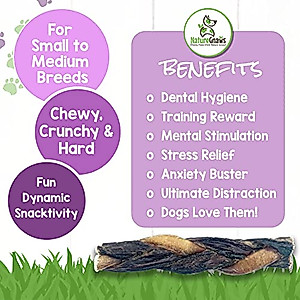 Nature Gnaws - Braided Twists for Dogs - Premium Natural Beef Dog Chew Treats - Combo of Bully Sticks and Beef Gullet - Long Lasting Training Reward