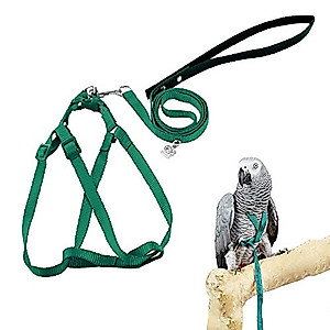 ASOCEA Adjustable Bird Harness and Leash for Yellow Naped Amazons Galah Cockatoos Small to Medium Breed Parrots Fits Birds Chest Between26-40cm /10.24-15.75inch - S
