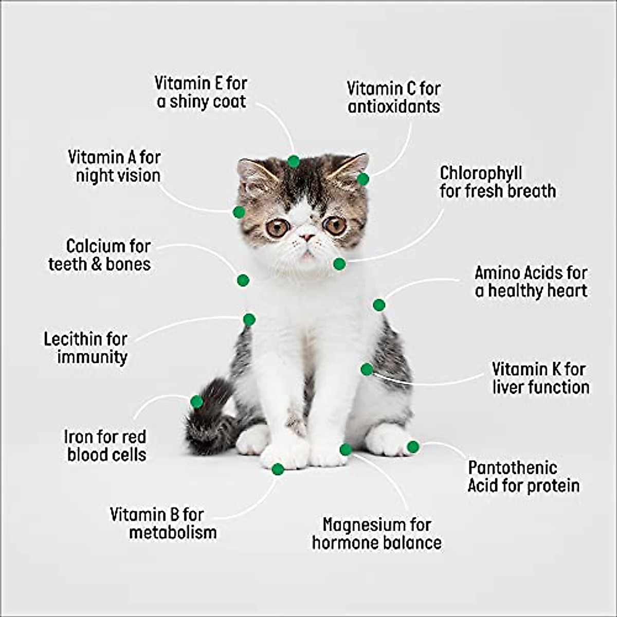 The Cat Ladies 100% Organic Cat Grass Seed (Non GMO)