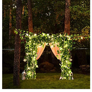 little sapling Led Solar String Lights Outdoor String Lights Garden Crystal Ball Decorative Lights Waterproof Indoor Fairy Lights for Home Garden Patio Party Yard Christmas