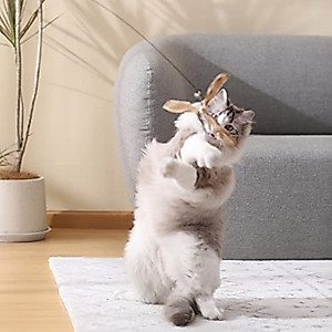 FUKUMARU Cat Wand Toy, 35.5 Inch Cat Feather Propeller Toy with Bell, Steel Wire Cat Toy for Indoor Cats with Natural Feather, Solid Wood Handle an Extra Cat Toy Feather Replacement