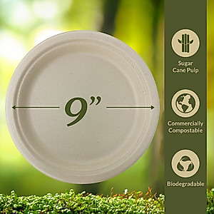 Reli. Compostable Paper Plates 9 Inch (140 Pack Bulk) | Brown Disposable Plates 9" | Heavy Duty Paper Plates, Eco-Friendly | Made of Sugarcane Fibers/Bagasse - Biodegradable | Microwavable (Natural)