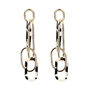 Acrylic Leopard Print Earrings Long Pendant Geometric Resin Oval Earrings Fashion Exaggerated Leopard Dangle Earrings for Women (Gold)