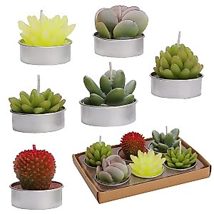 LJQizn 6pcs Cactus Tealight Candles Handmade Delicate Succulent Cactus Candles Tea Lights Perfect for Birthday Party Wedding Spa Home Decor Gifts (6pcs Cactus Candles)