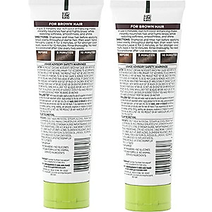 Garnier Hair Color Nutrisse Color Reviver 5 MIN Hair Mask, Cool Brown to Nourish & Fight Brass, 4.2 Fl Oz, 2 Count (Packaging May Vary)