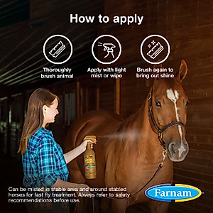 Farnam Bronco Gold Horse Fly Spray, Grooming Aid, Coat Conditioner 128 Ounces, Gallon Refill