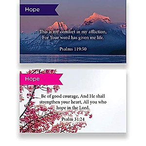 Logos Trading Post Pass Along Scripture Card Variety Pack | All 60 Designs | 1 of each Design | Pack of 60 - Assortment 13