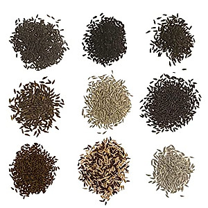 Sweet Yards Lettuce Lovers’ Organic Seed Variety Pack - 9 Unique Packets of Heirloom Non-GMO USDA Certified Organic Pure Seeds