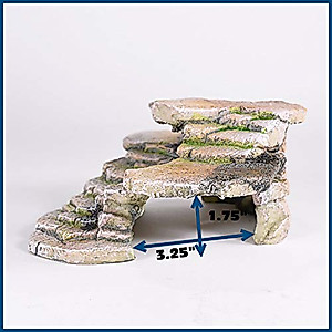 PENN-PLAX Reptology Shale Scape Step Ledge & Cave Hideout – Decorative Resin for Aquariums & Terrariums – Great for Reptiles, Amphibians, and Fish – Medium