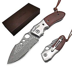ALBATROSS Pocket Knife Cote D'Ivoire Sandalwood 6.22" Damascus Steel Knife Liner Lock Folding Knife - HGDK007