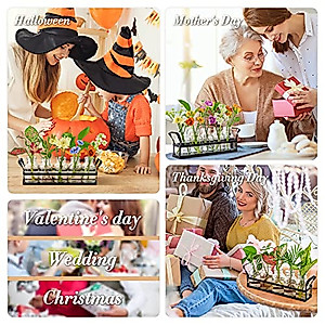 Propagation Stations Indoor Decor Plants Propagation Station with Stainless Steel Stand, Propogation planters glass with 5 Air Plant Terrarium for House Plants Hydroponic Home Garden Office Decoration