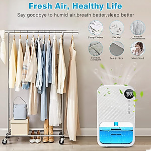 Dehumidifiers for Home with Digital Humidity Display, 37oz Basement Dehumidifier with 7 Colors LED, Auto Shut-Off, Timer & Laundry Dry, Small Dehumidifier for Bedroom, Bathroom, Basement, RV, Office