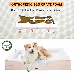 pettycare Orthopedic Dog Bed for Extra Large Dogs - Bolster Egg Crate Foam Dog Sofa with Waterproof Removable Washable Cover, Non-Slip Bottom, Extra Head and Neck Support, Cozy Flannel, White