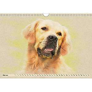 Golden Retriever 2020 (Wandkalender 2020 DIN A4 quer): Golden Retriever im kunstvollen Aquarell-Stil. Jedes Monatsmotiv gleicht einem kleinen Kunstwerk (Monatskalender, 14 Seiten )