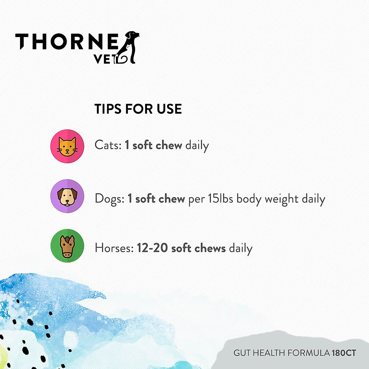 ThorneVet Gut Health Formula – Gastrointestinal Support for Dogs, Cats & Horses, 180 Soft Chews
